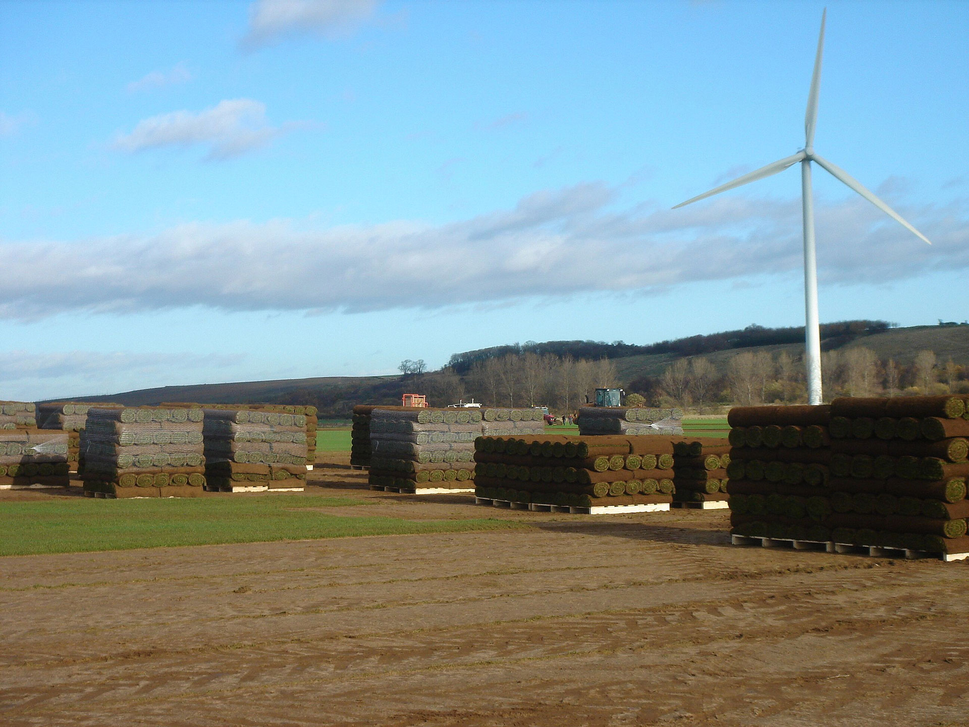 Welcome to County Turf - County Turf