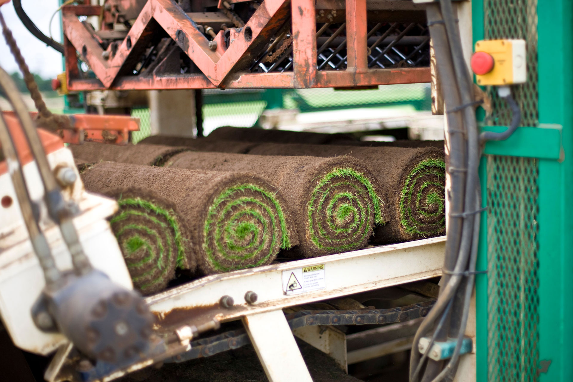 Welcome to County Turf - County Turf