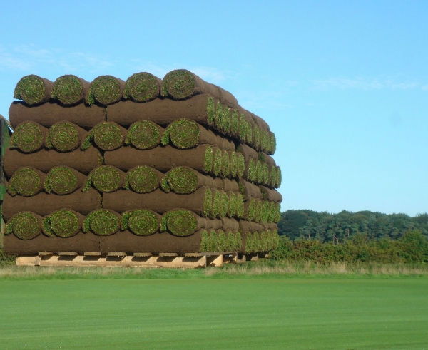 Welcome to County Turf - County Turf